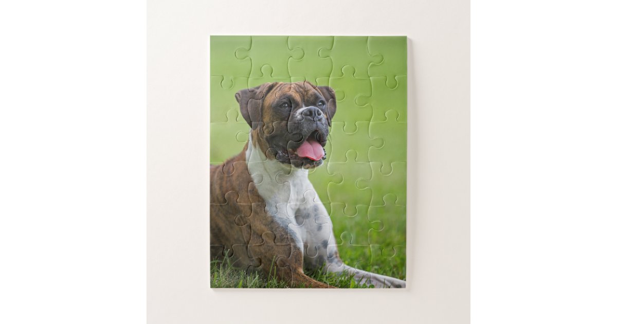 Boxer-Hündchen 2 Puzzle | Zazzle.at