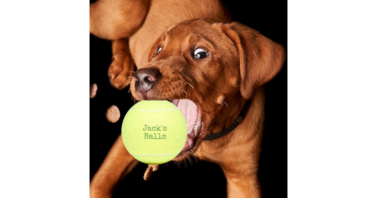 Funny Personalisiert Tennis Balls Tennisbälle | Zazzle.at