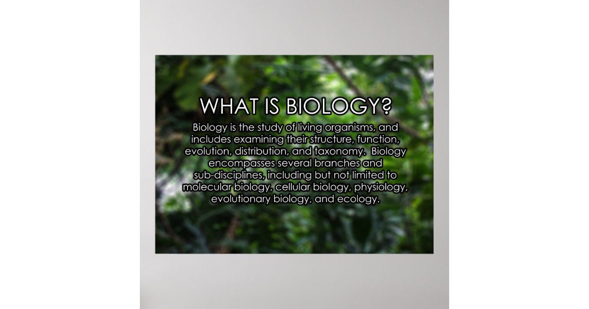 Was ist Biologie? Poster | Zazzle.at